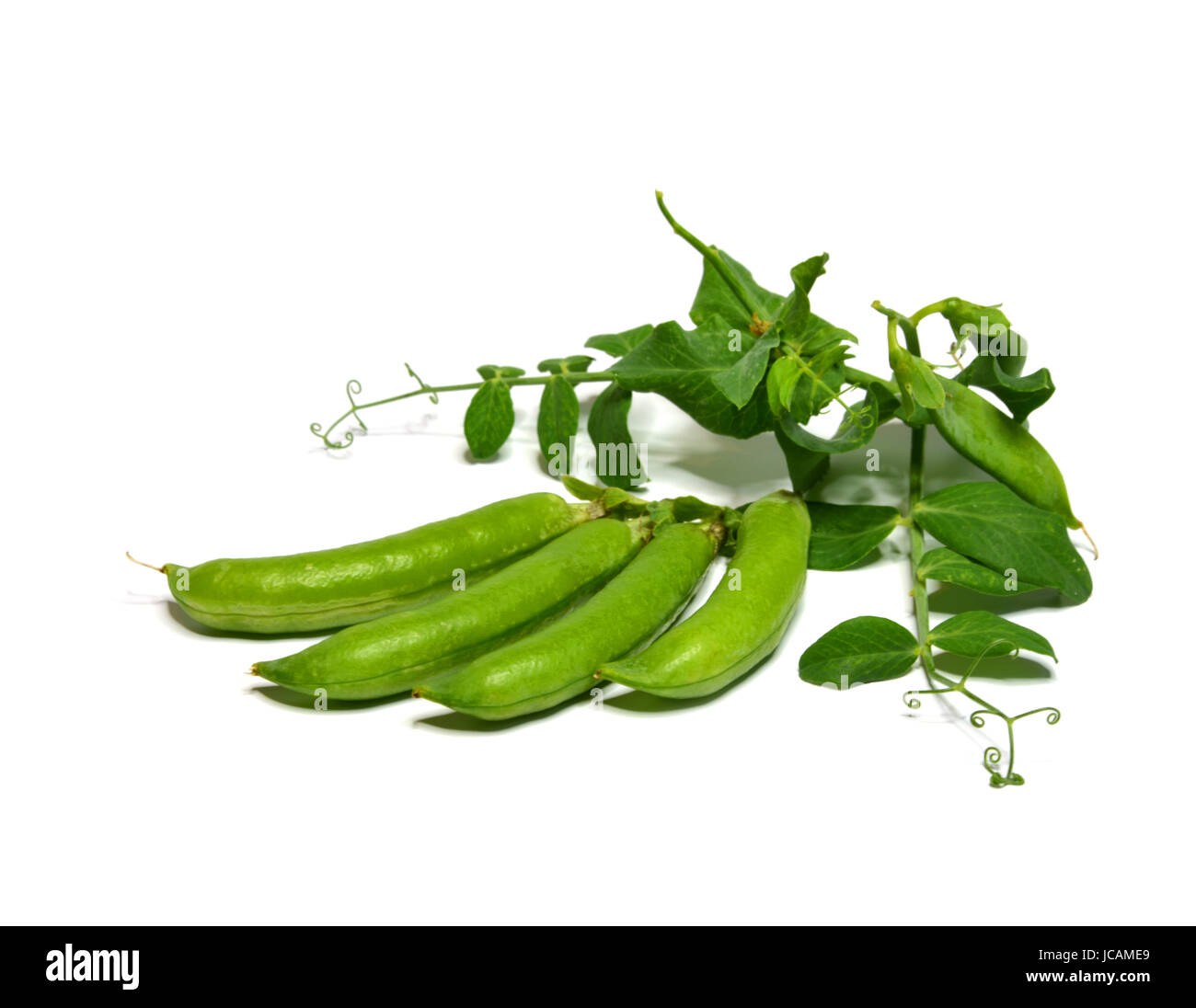 fresh peas (bio Stock Photo - Alamy
