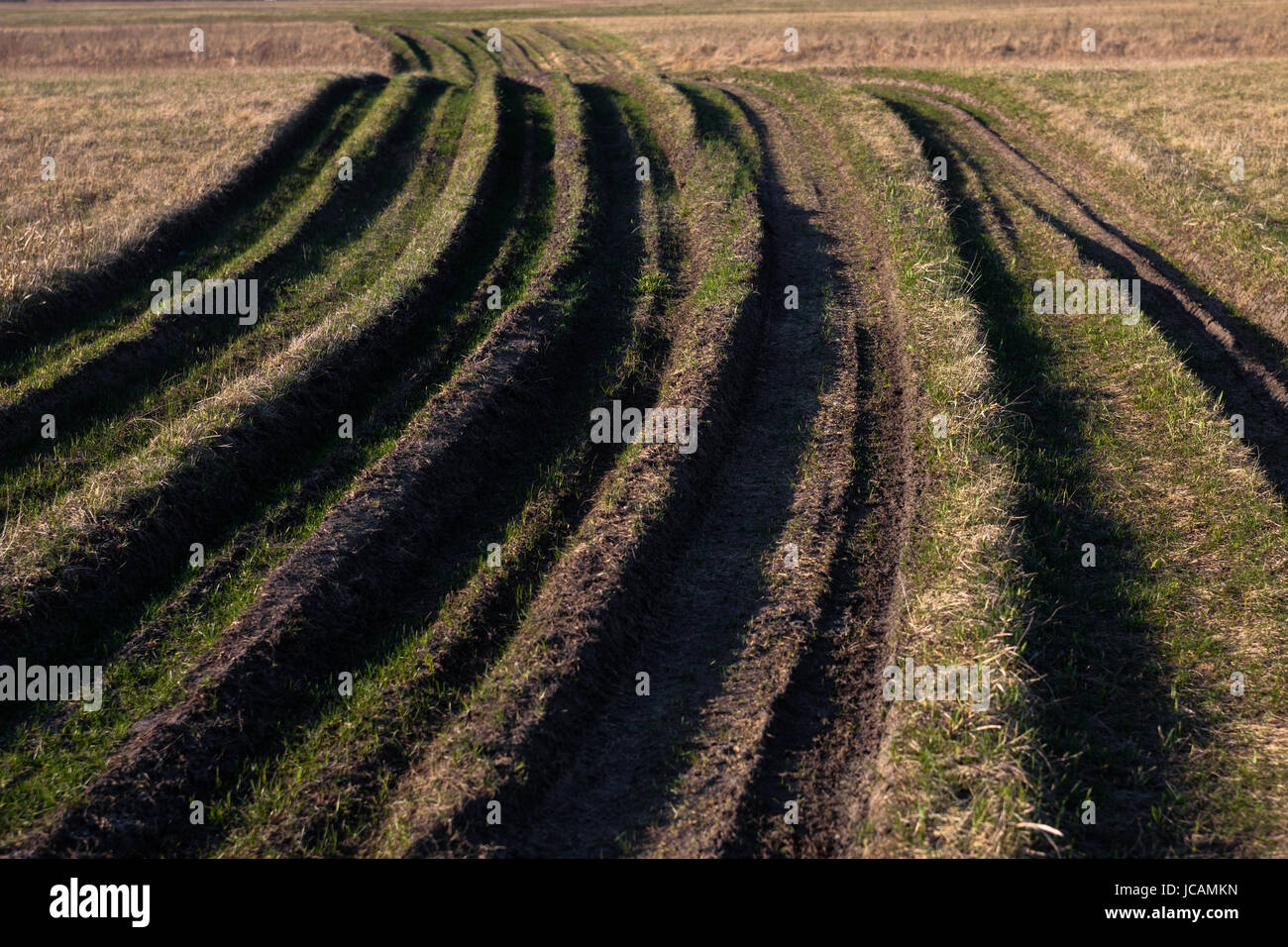 Countryside road overgrown with grass. Lots of wheel ruts Stock Photo ...