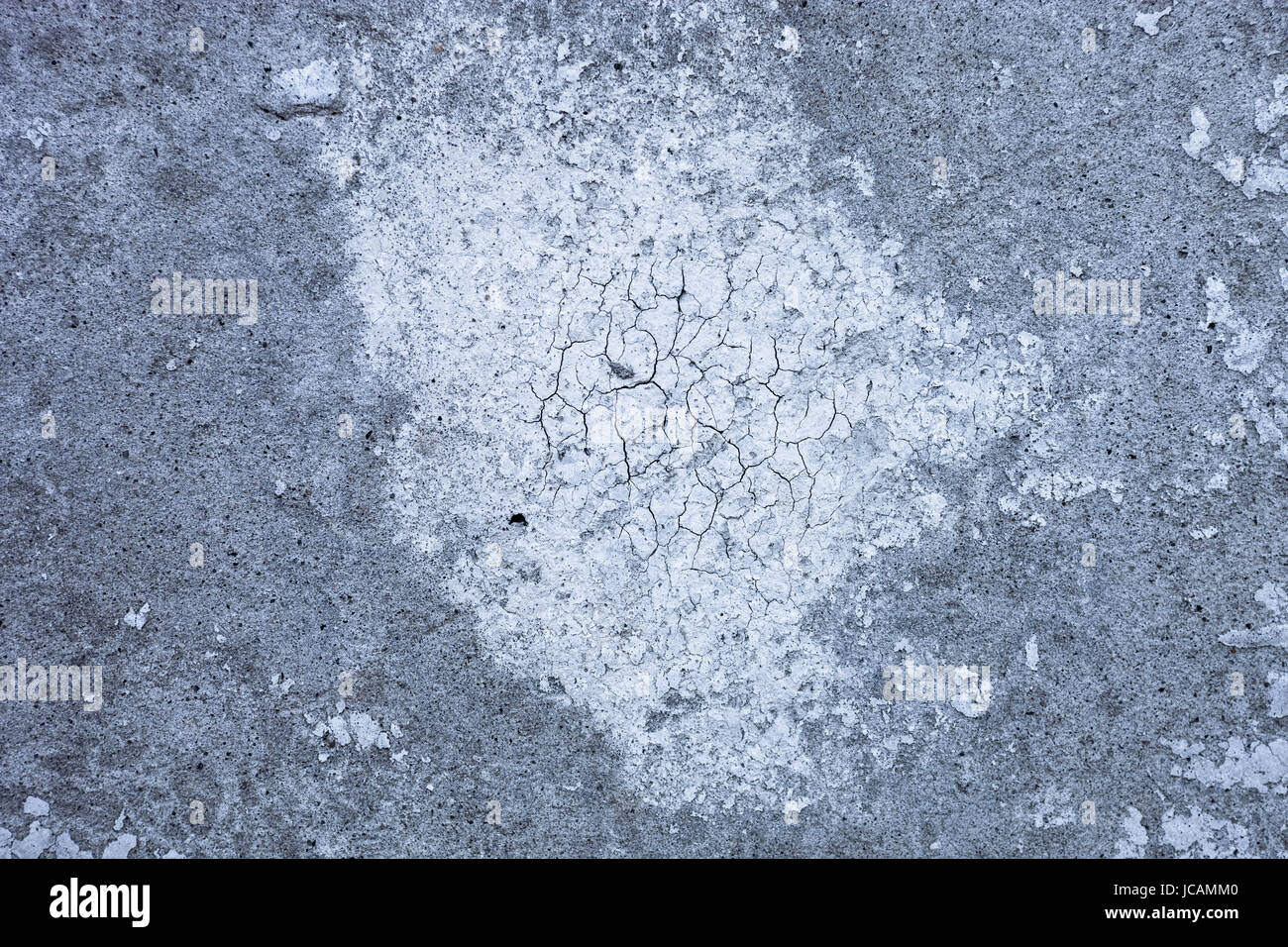 Grey concrete surface with lime spot and rich and various texture Stock ...