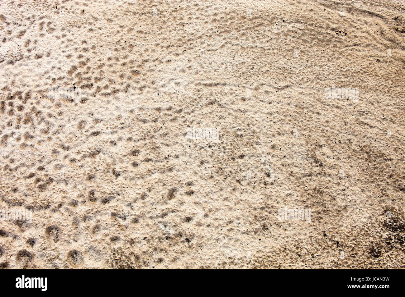 Sand surface after the rain with the visible traces of the raindrops ...
