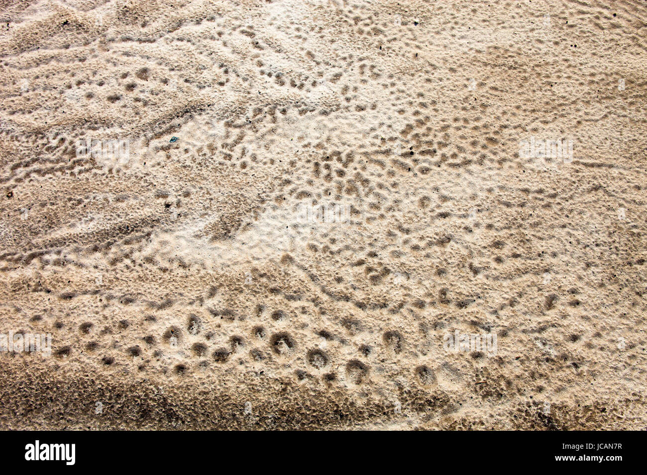 Sand surface after the rain with the visible traces of the raindrops ...