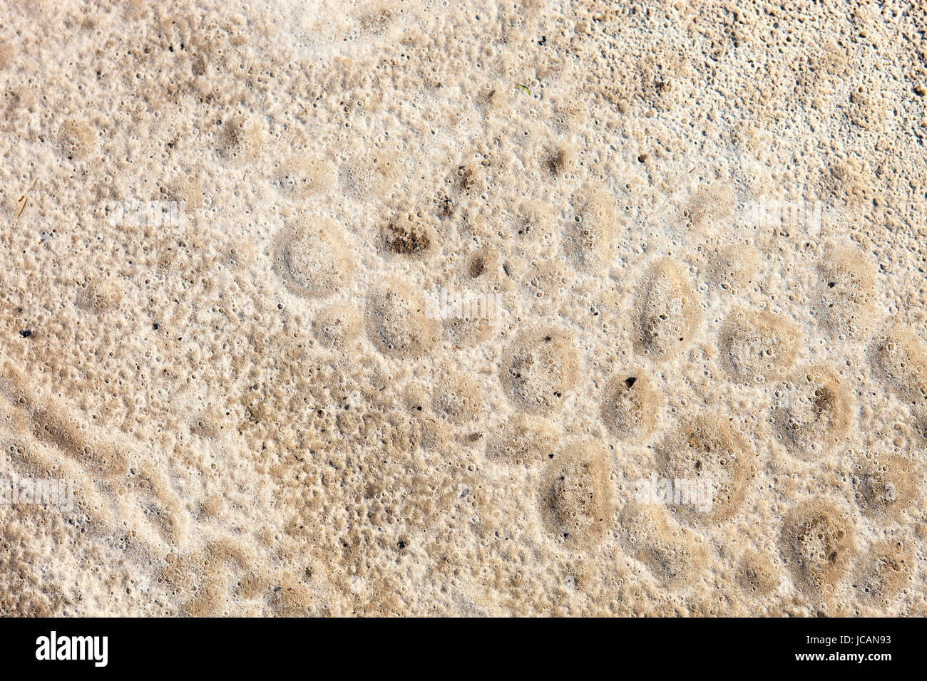 Sand surface after the rain with the visible traces of the raindrops ...