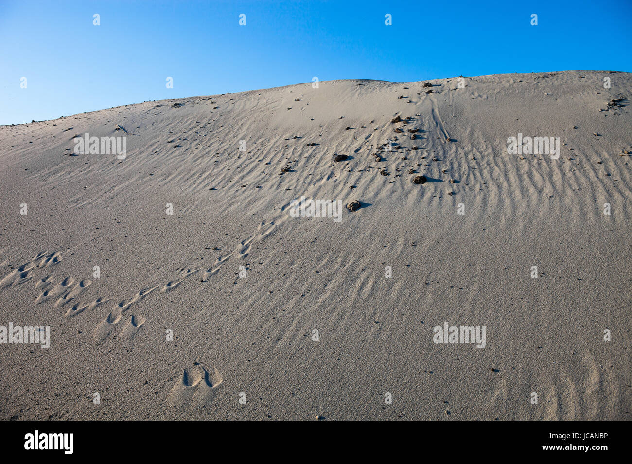 Gray sand dunes and the blue sky Stock Photo - Alamy
