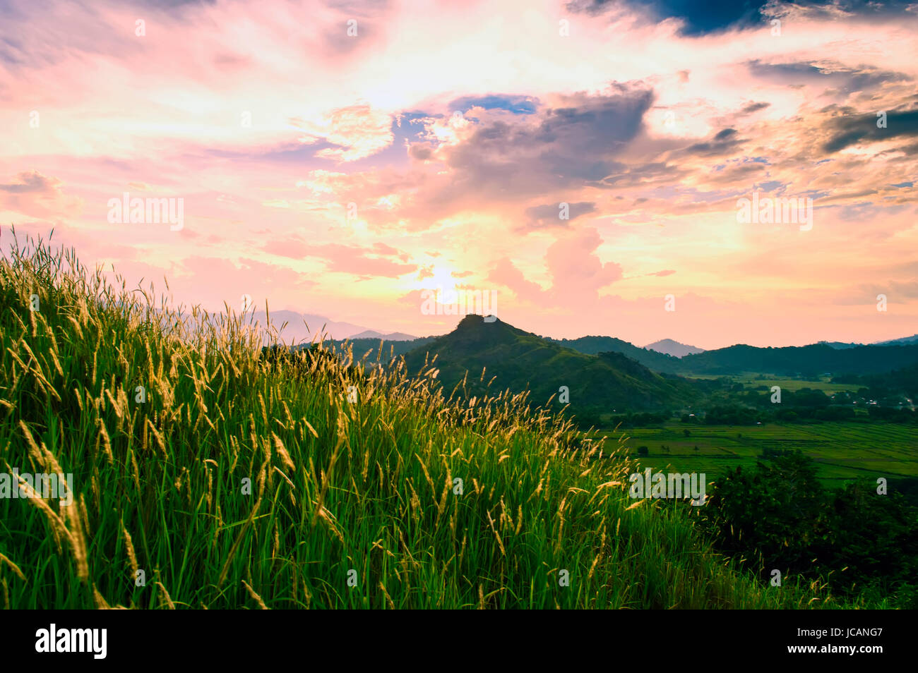 Sun Behind the Grass Hills of Subic Bay. Philippines Stock Photo - Alamy