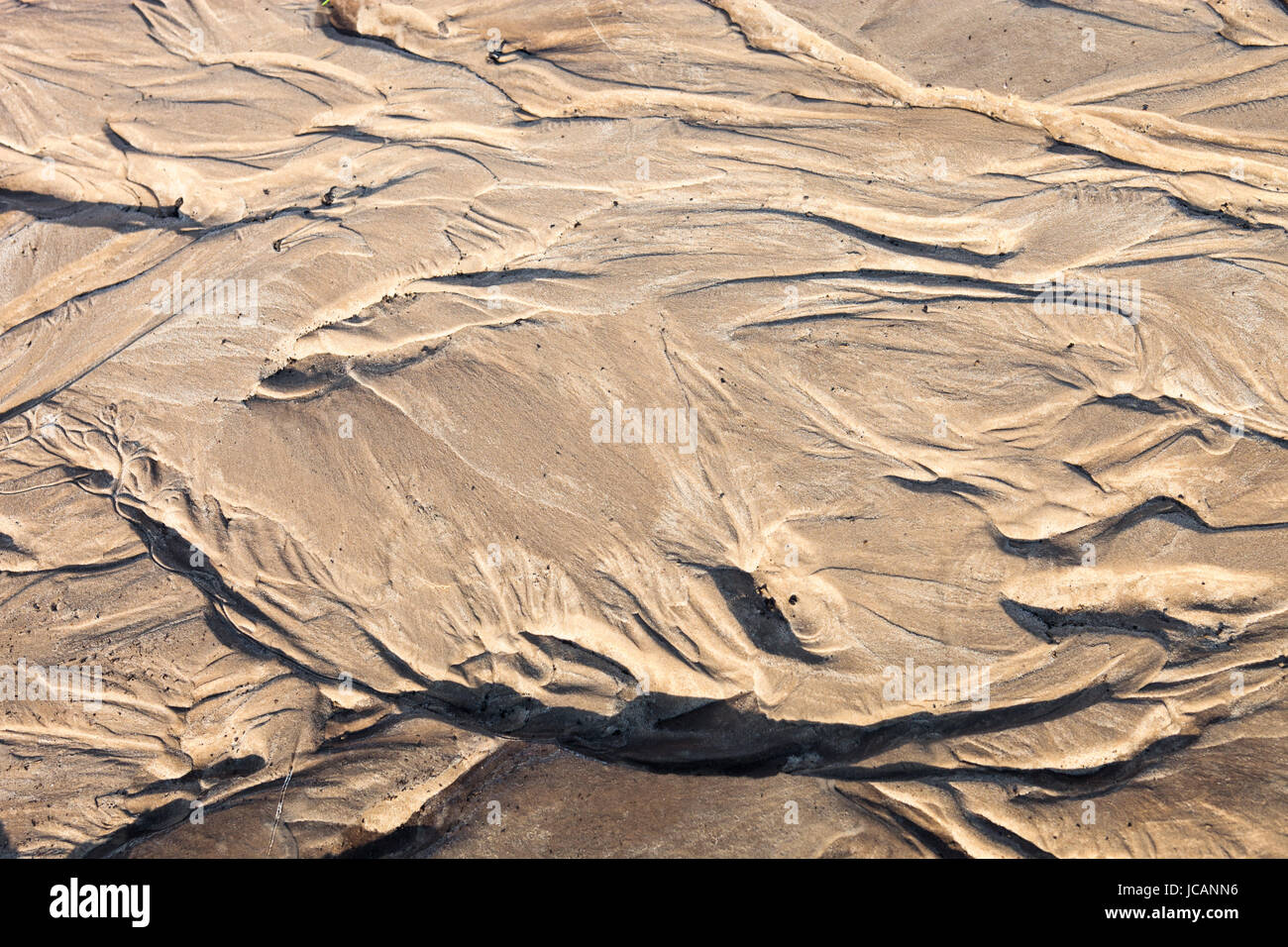 Sand surface after the rain with the relief formed by water currents ...