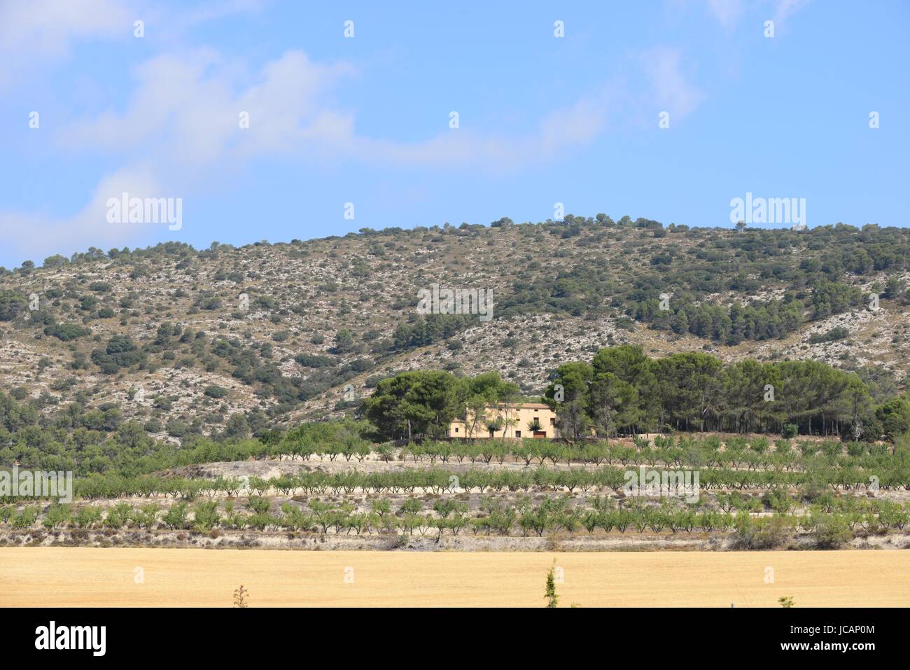 straw,field after harvest spain Stock Photo - Alamy