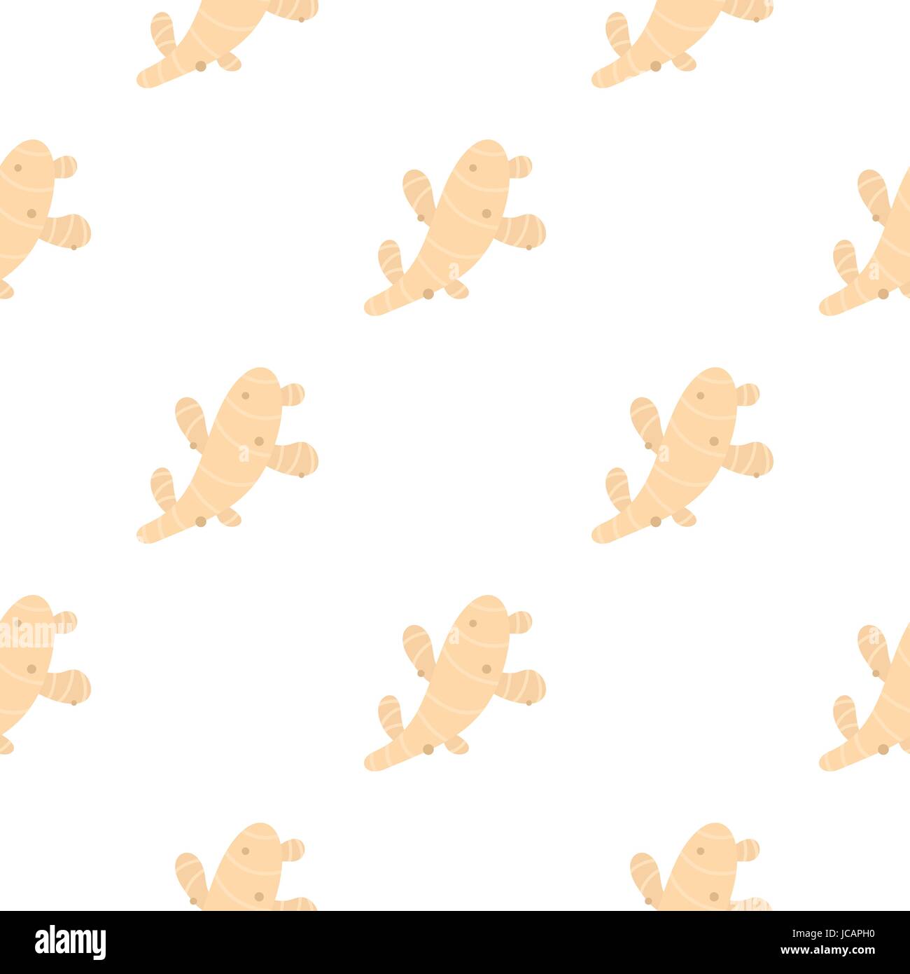 Ginger isolated white rhizome Stock Vector Images - Alamy