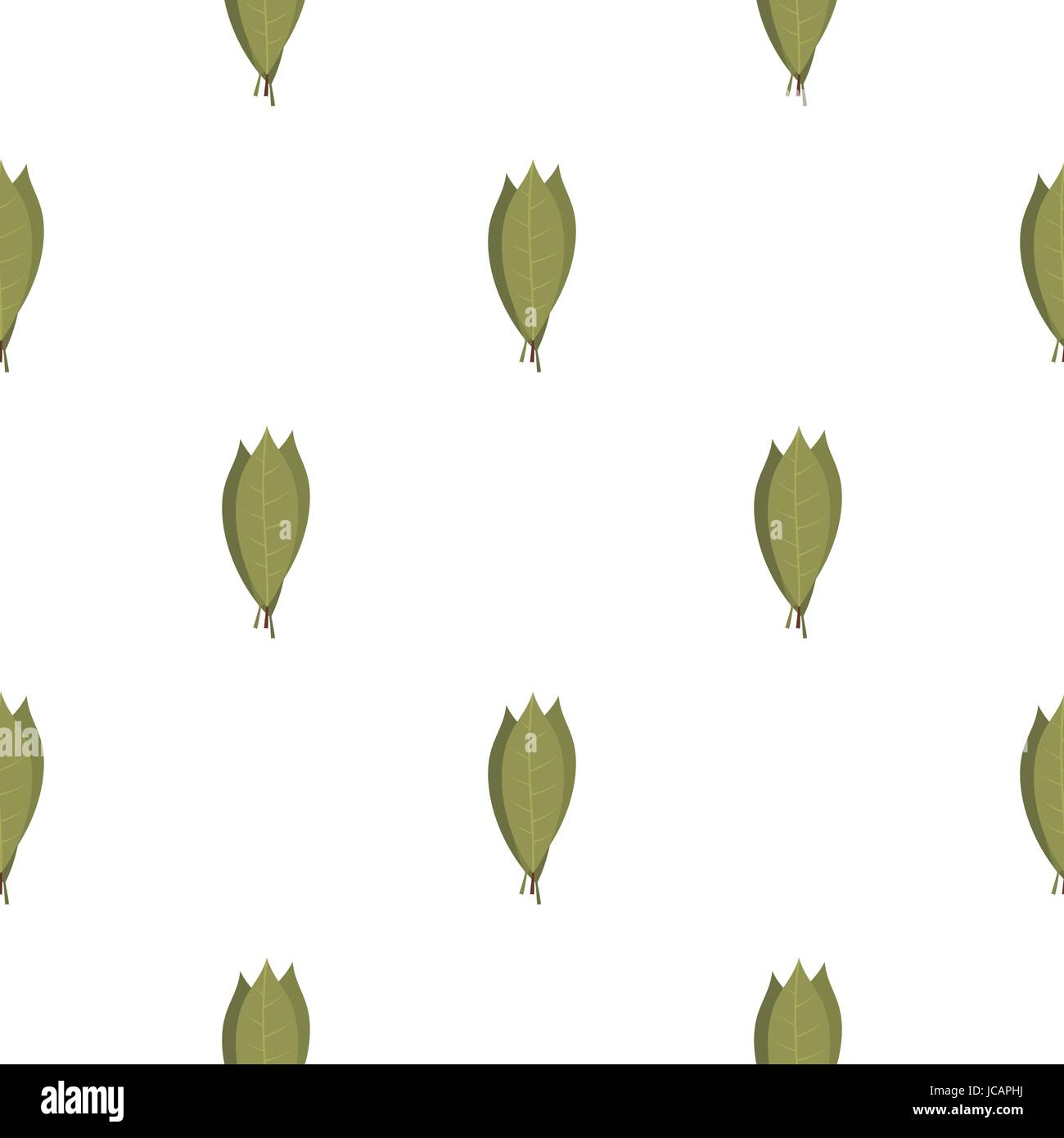 Bay leaves texture Stock Vector Images - Alamy