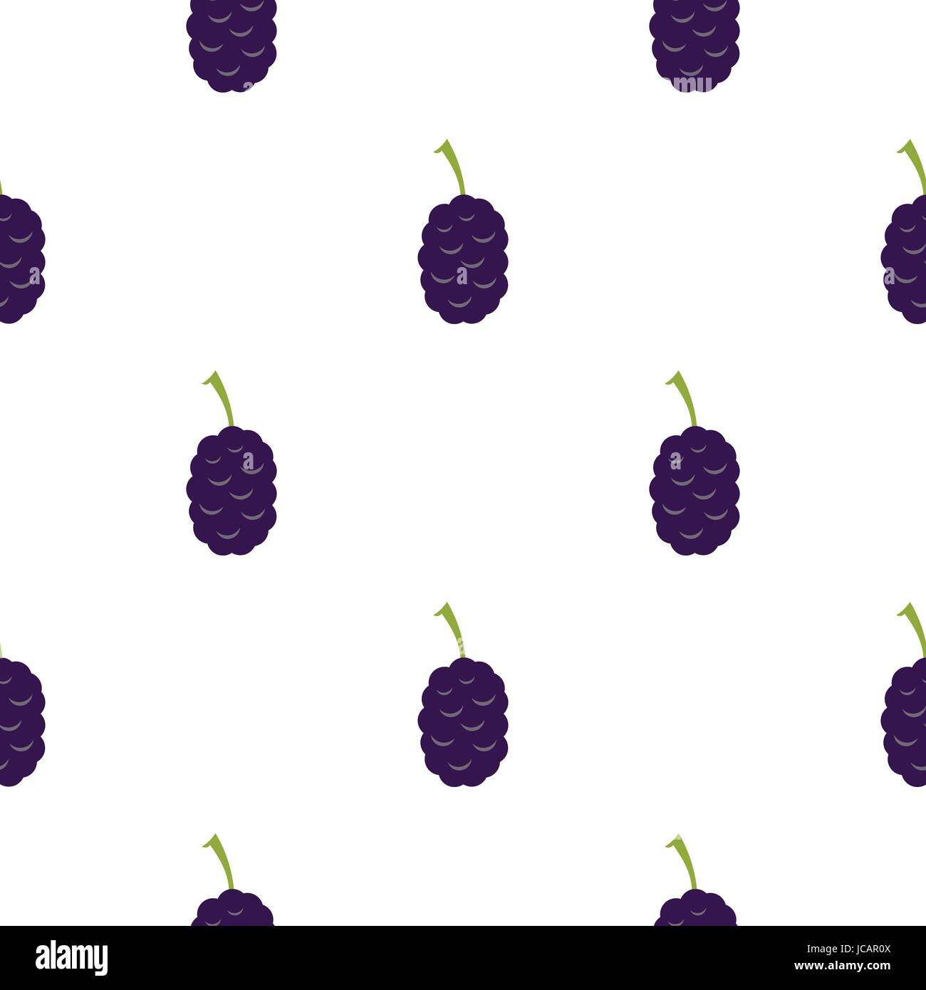Mulberry morus leaf Stock Vector Images - Alamy