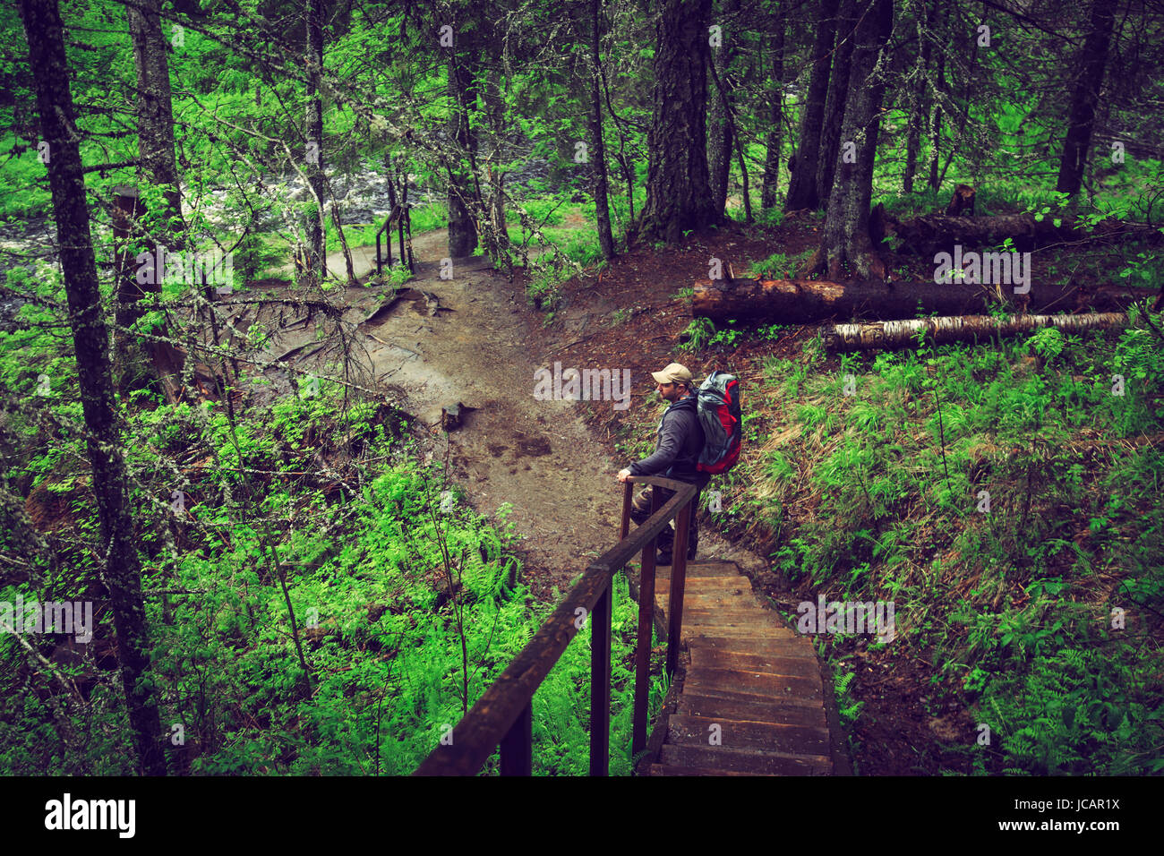 Traveler with a backpack goes on the wild forest. It's raining Stock ...