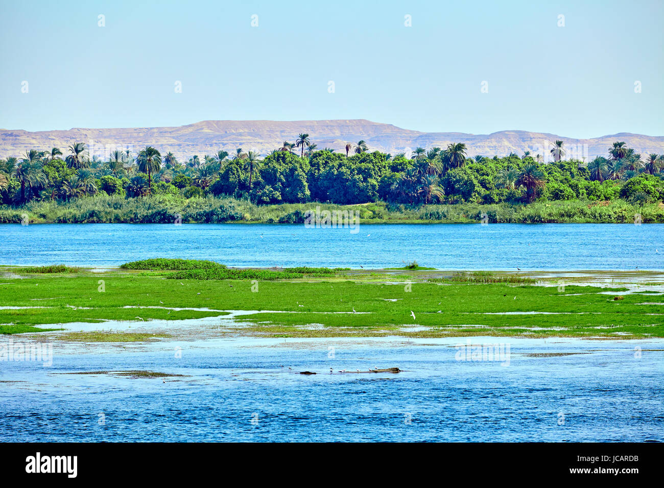 River Nile in Egypt. beautiful landscape Stock Photo - Alamy