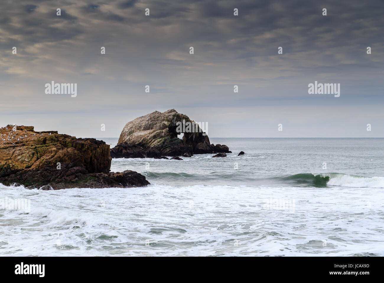 Sea cliff san francisco hi-res stock photography and images - Alamy