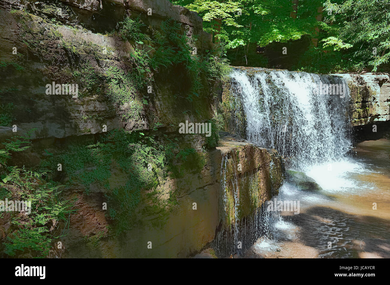 Waterfall at Nerstrand Big Woods State Park in Minnesota Stock Photo ...
