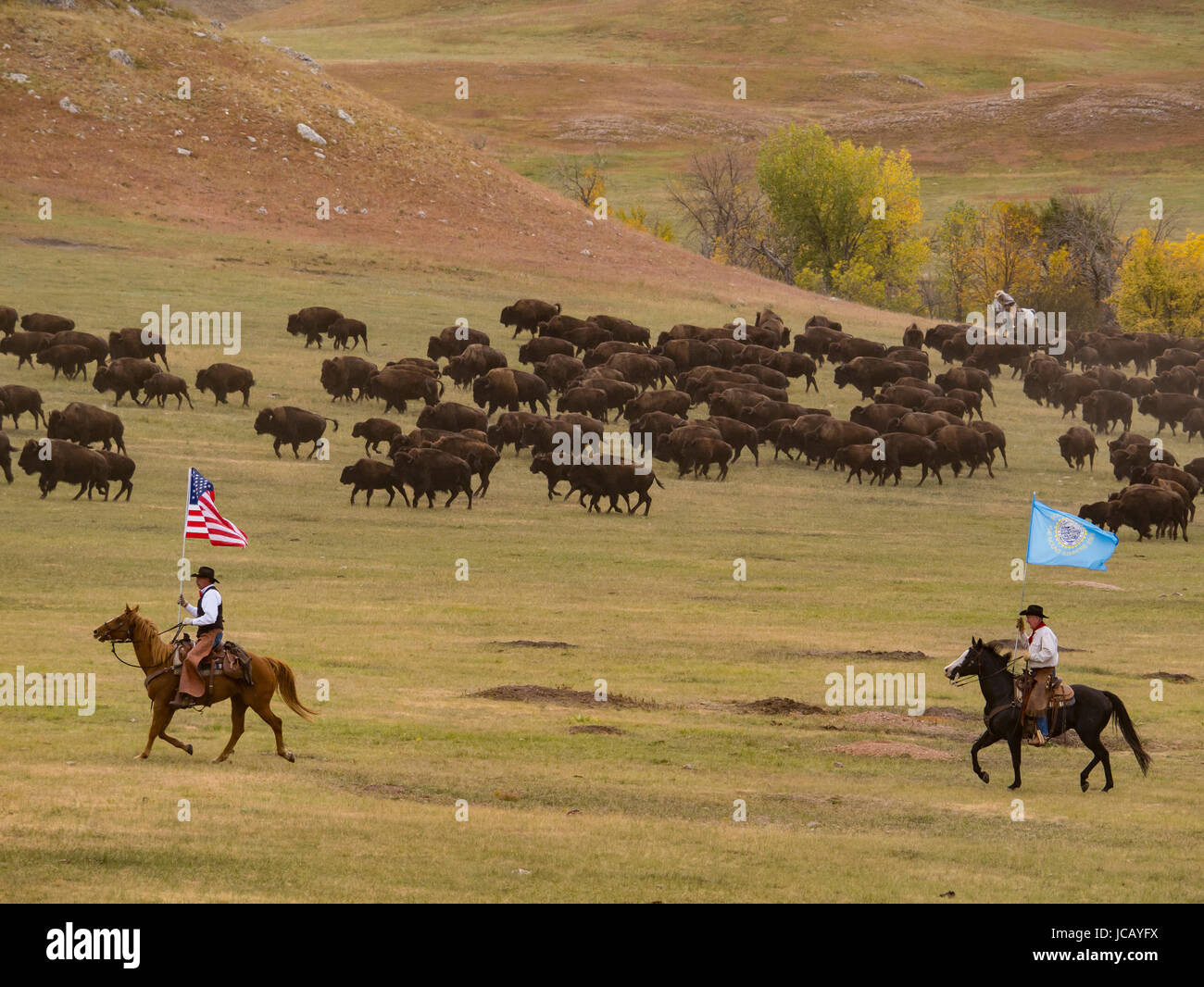 Riders carry the national and state flags, Custer Buffalo Roundup ...