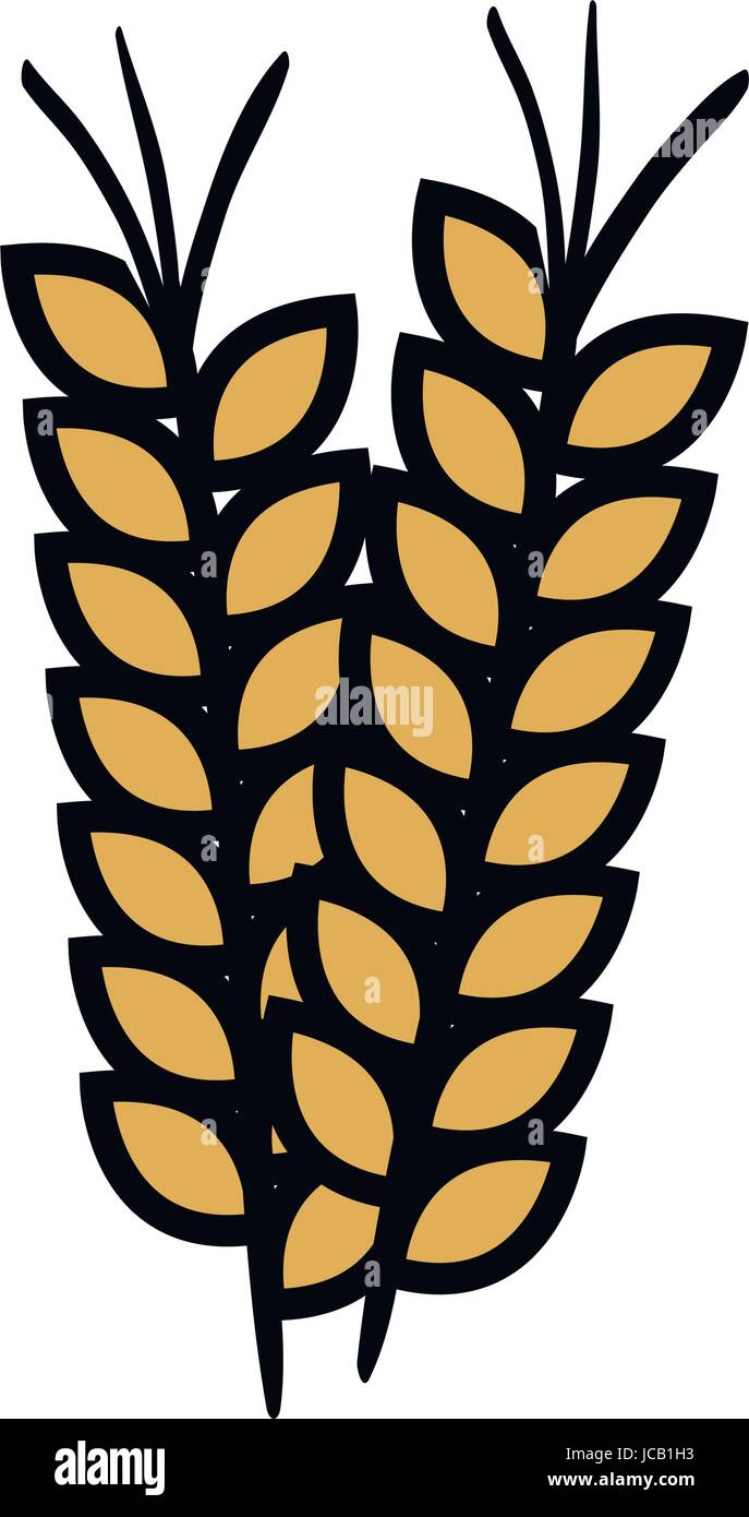 wheat spike isolated icon Stock Vector Image & Art - Alamy