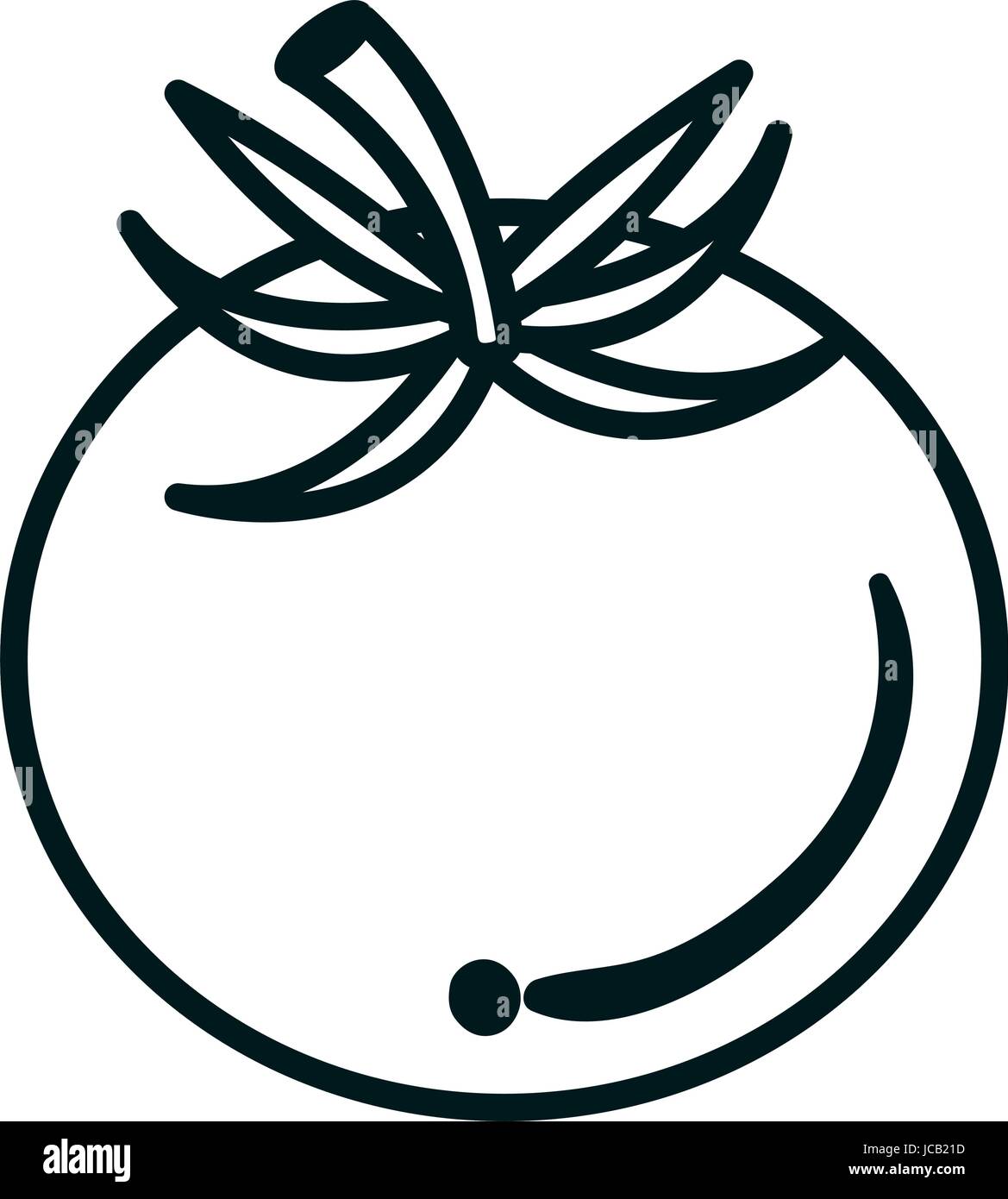 tomato fresh vegetable icon Stock Vector Image & Art - Alamy