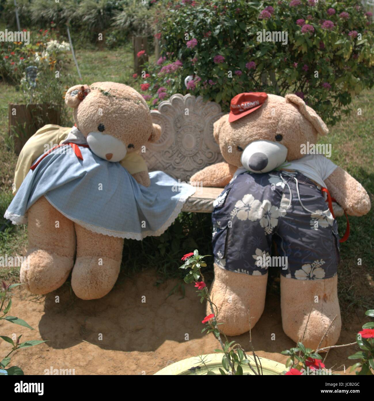 Two bears holding hands Stock Photo - Alamy