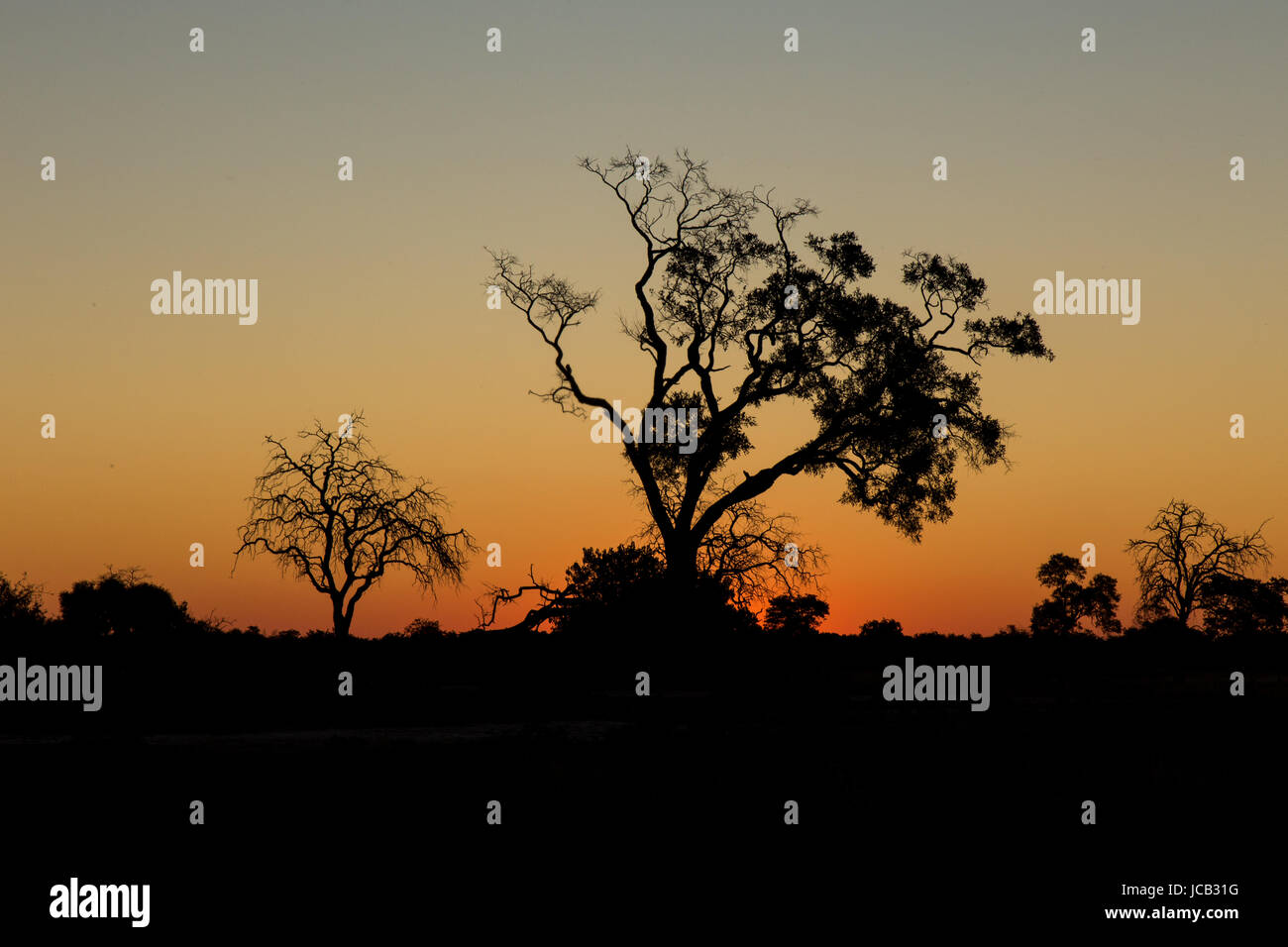 African southern africa hi-res stock photography and images - Alamy