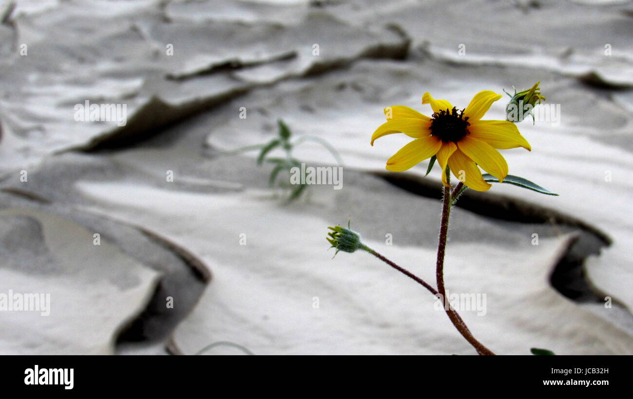 Anza basin hi-res stock photography and images - Alamy