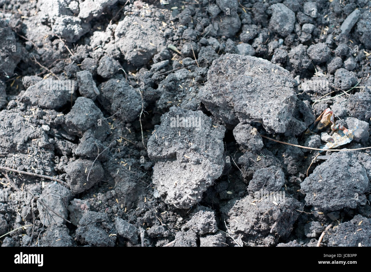 Alluvial Soil Images