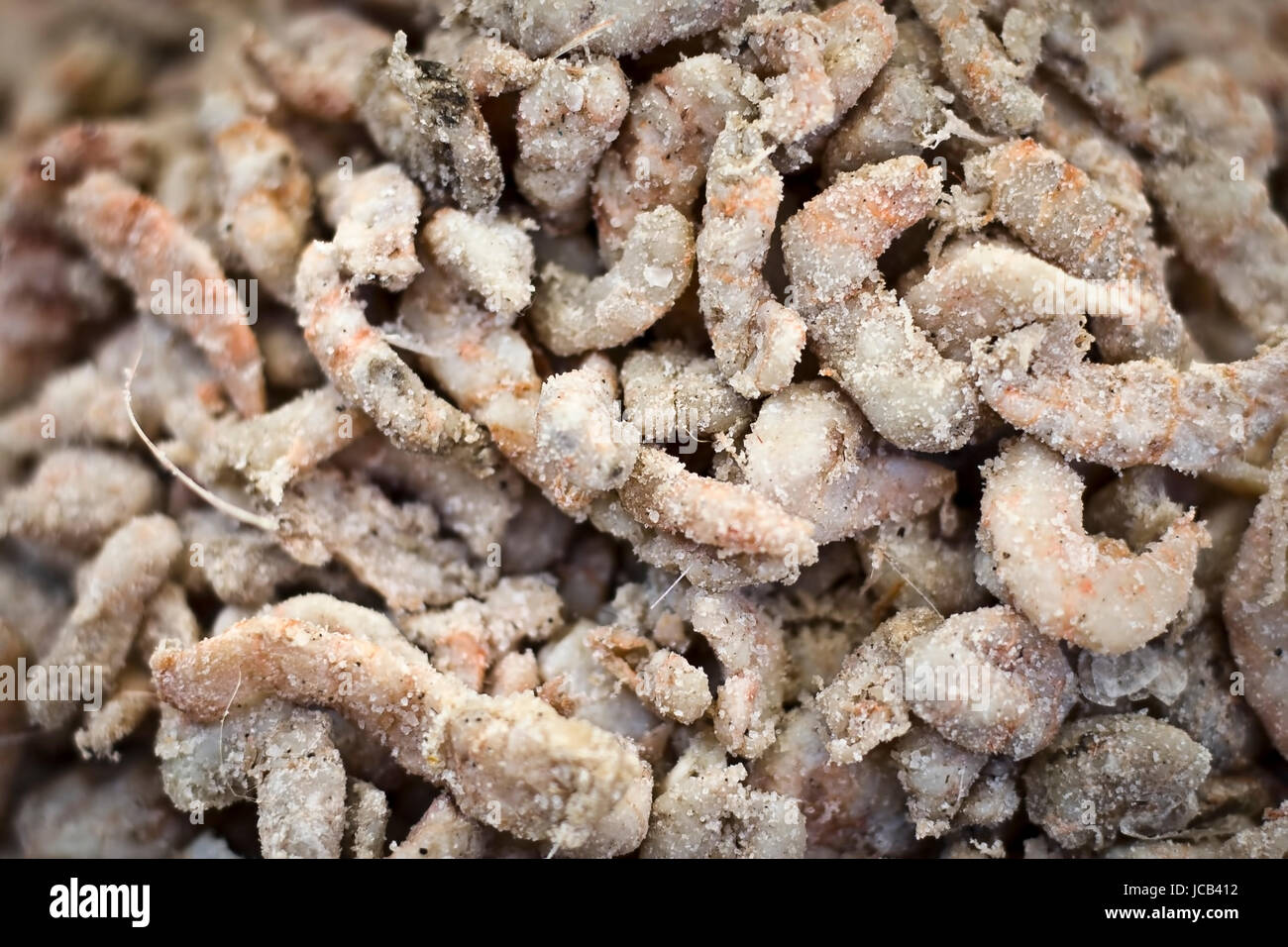 Jhinga Stock Photos & Jhinga Stock Images - Alamy