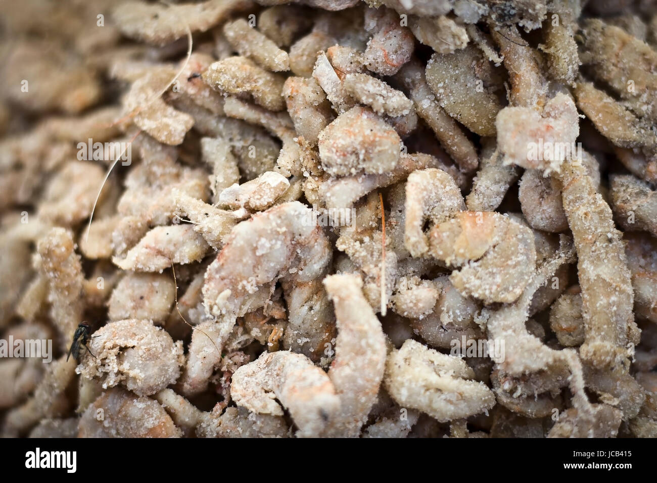 Jhinga hi-res stock photography and images - Alamy