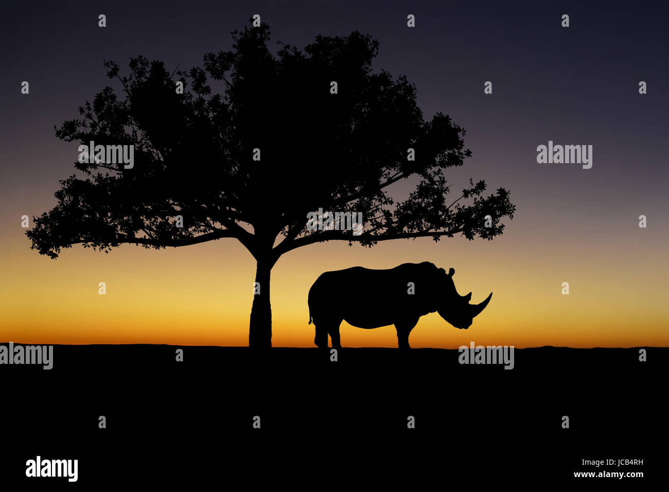Rhino ridge hi-res stock photography and images - Alamy