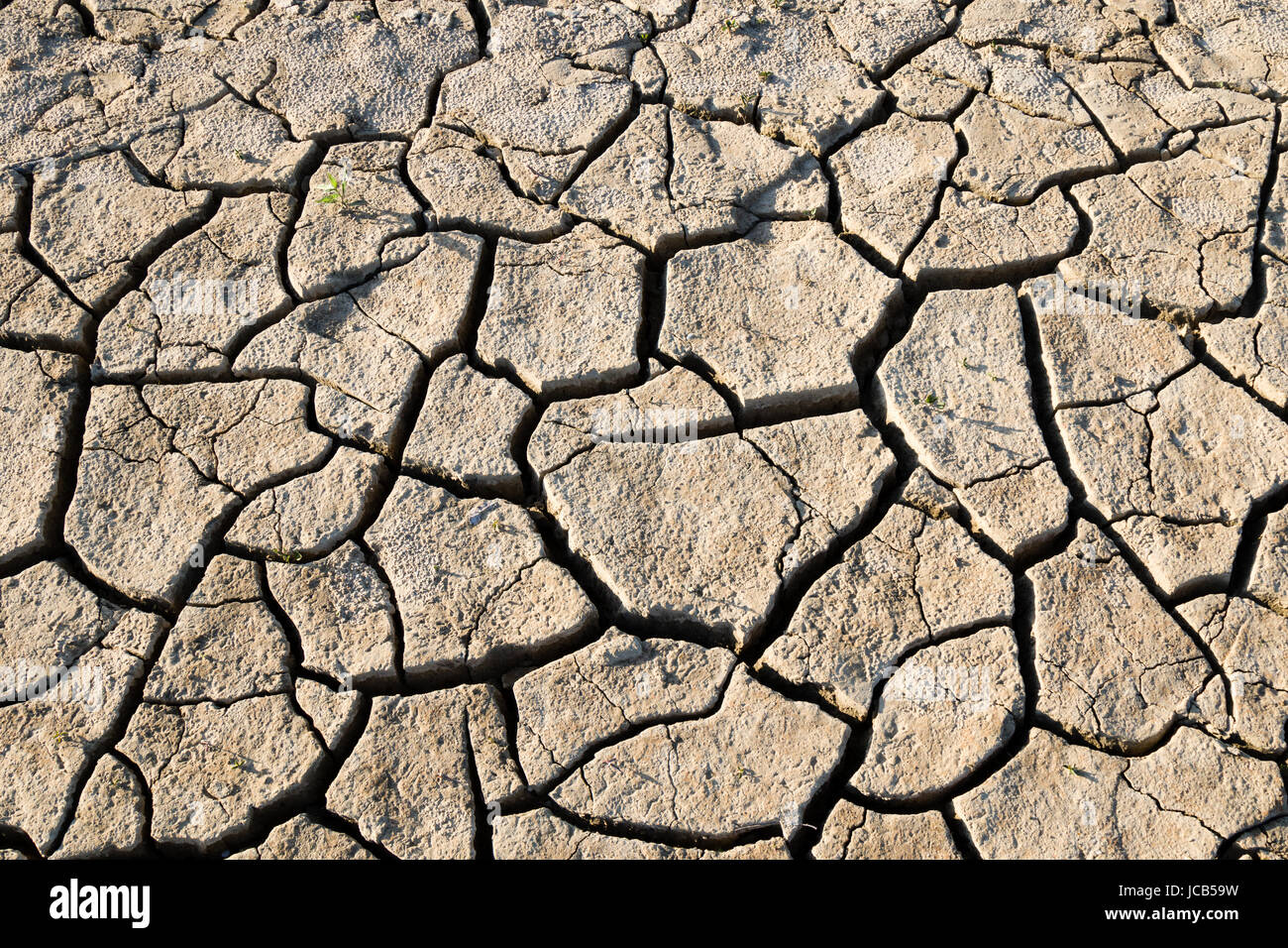 drought barren, cracked, dry, crusty patch of land Stock Photo - Alamy