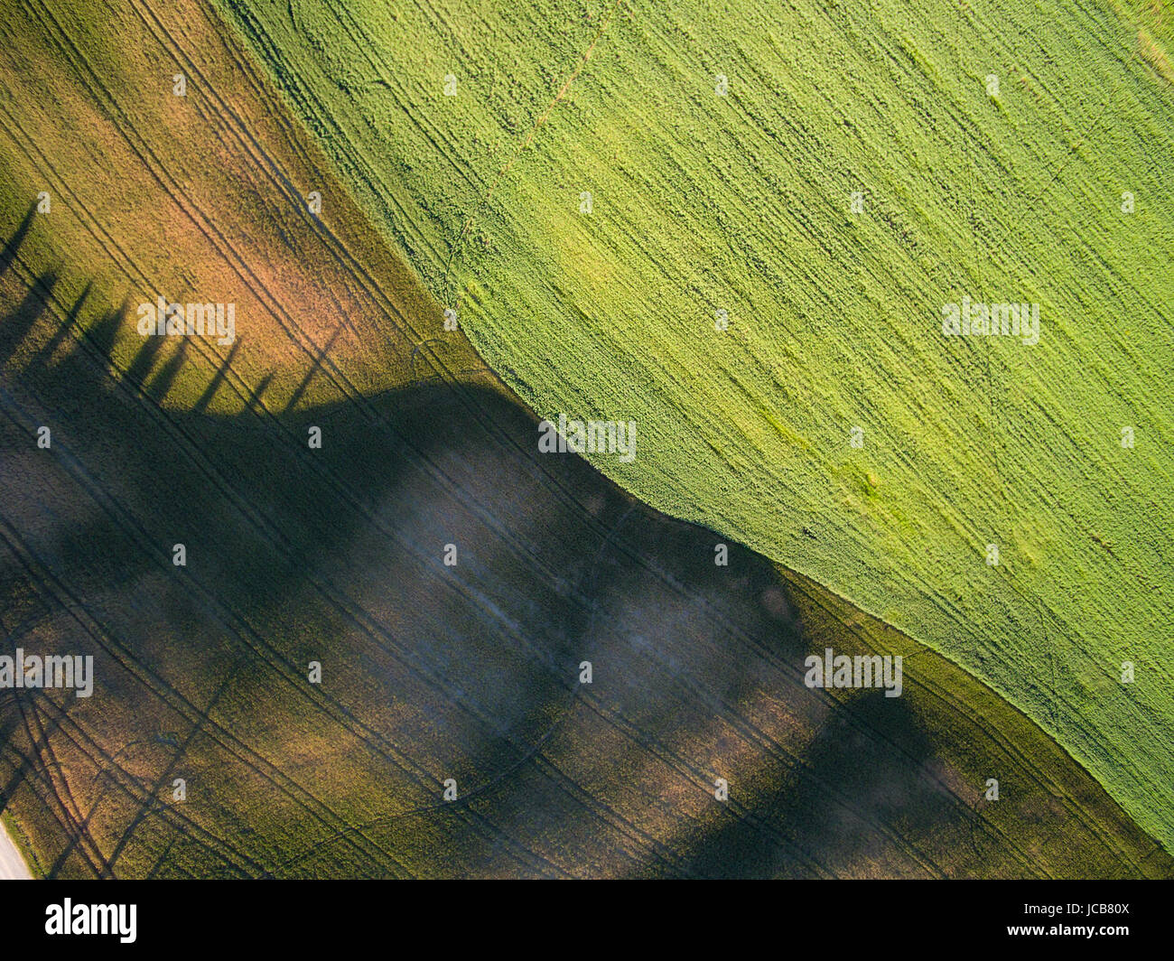 Aerial top view of a green field. Summer season Stock Photo - Alamy