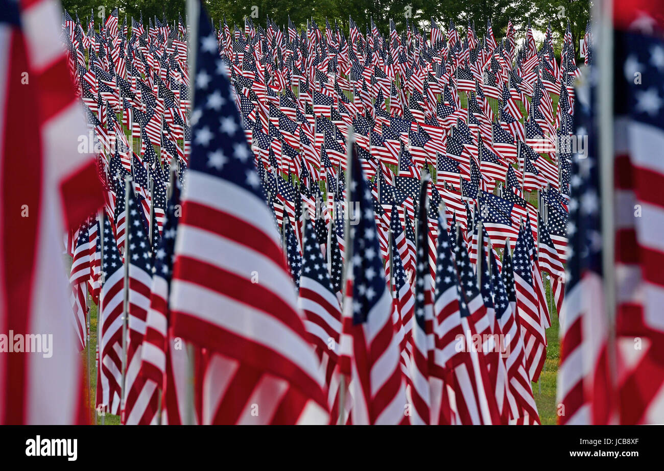Field of American Flags Stock Photo - Alamy