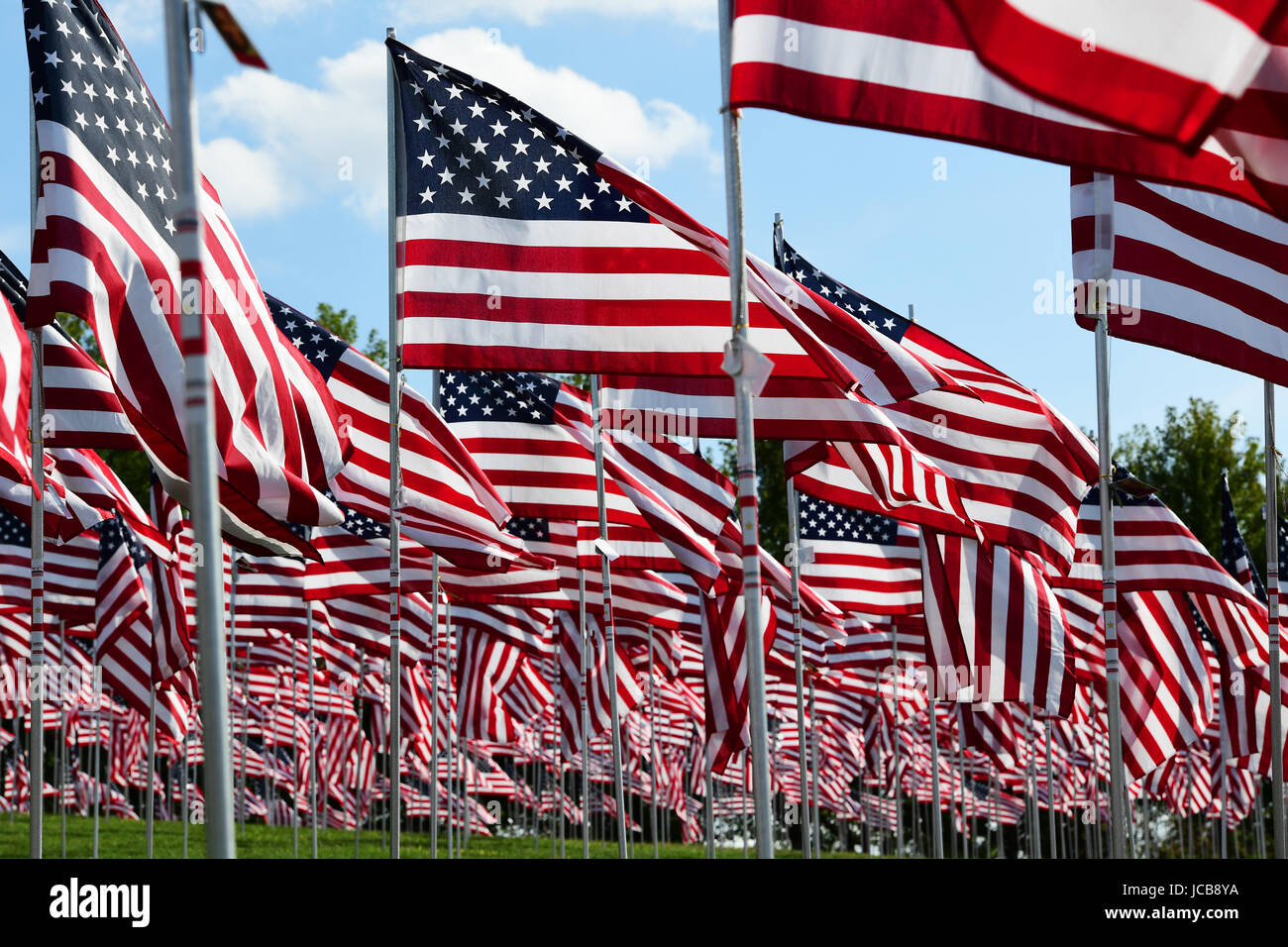 Field of American Flags Stock Photo - Alamy