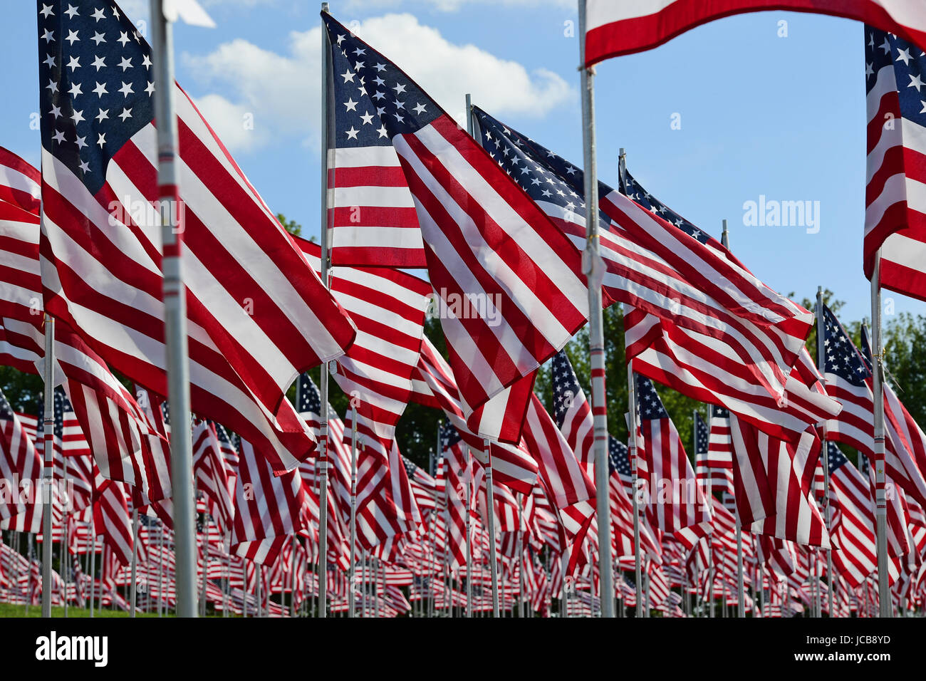 Field of American Flags Stock Photo - Alamy