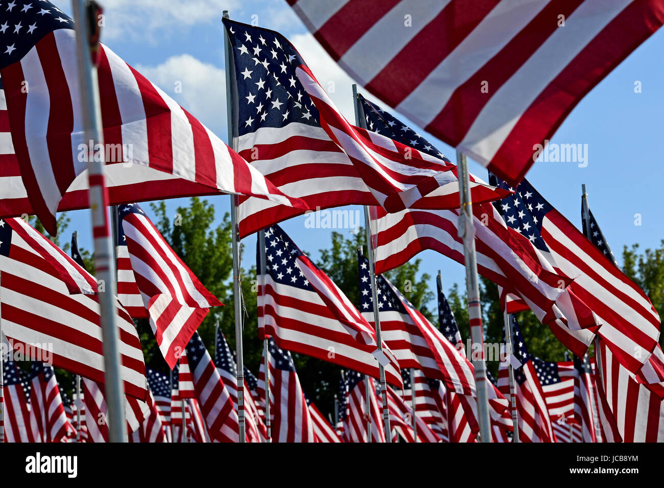 Field of American Flags Stock Photo - Alamy
