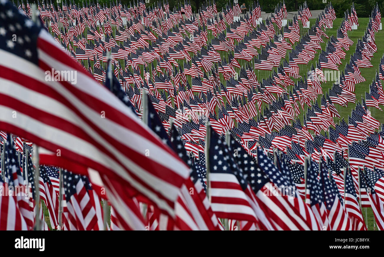 Field of American Flags Stock Photo - Alamy