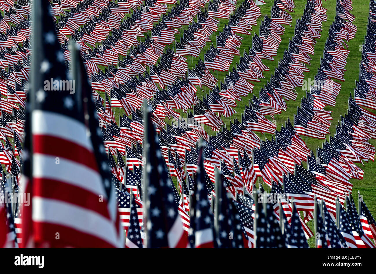 Field of American Flags Stock Photo - Alamy