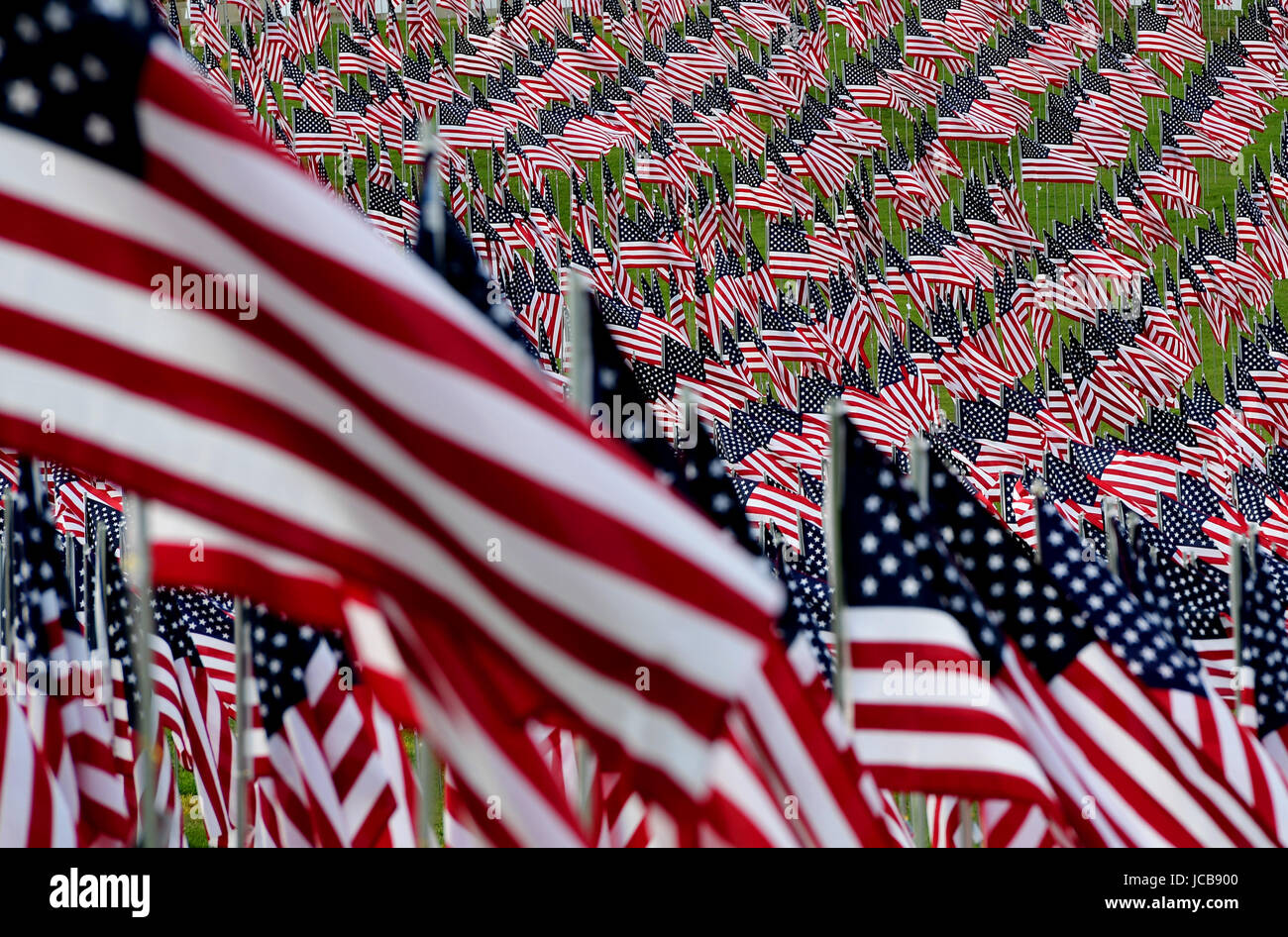 Field of American Flags Stock Photo - Alamy