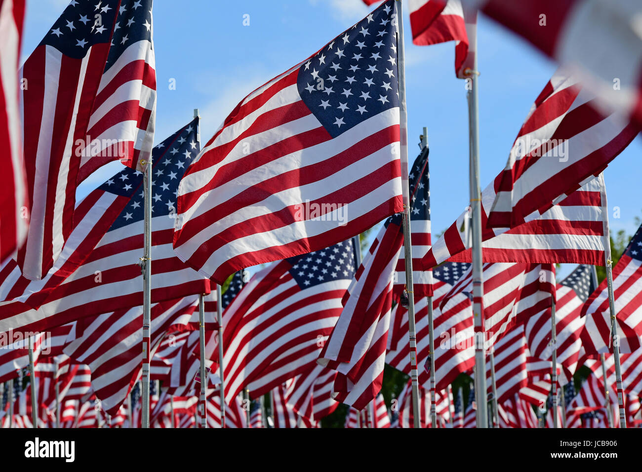 Field of American Flags Stock Photo - Alamy