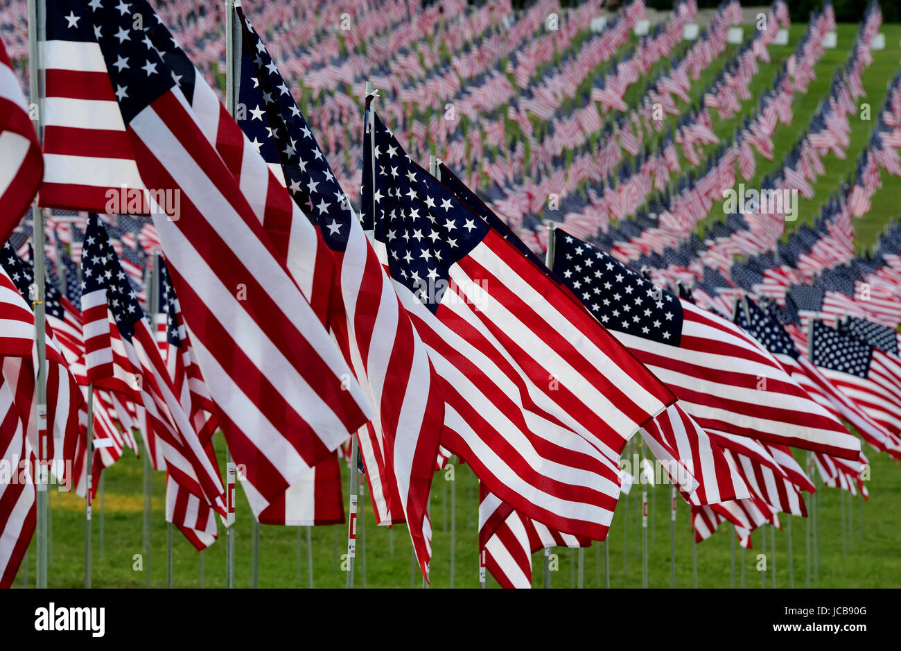 Field of American Flags Stock Photo - Alamy