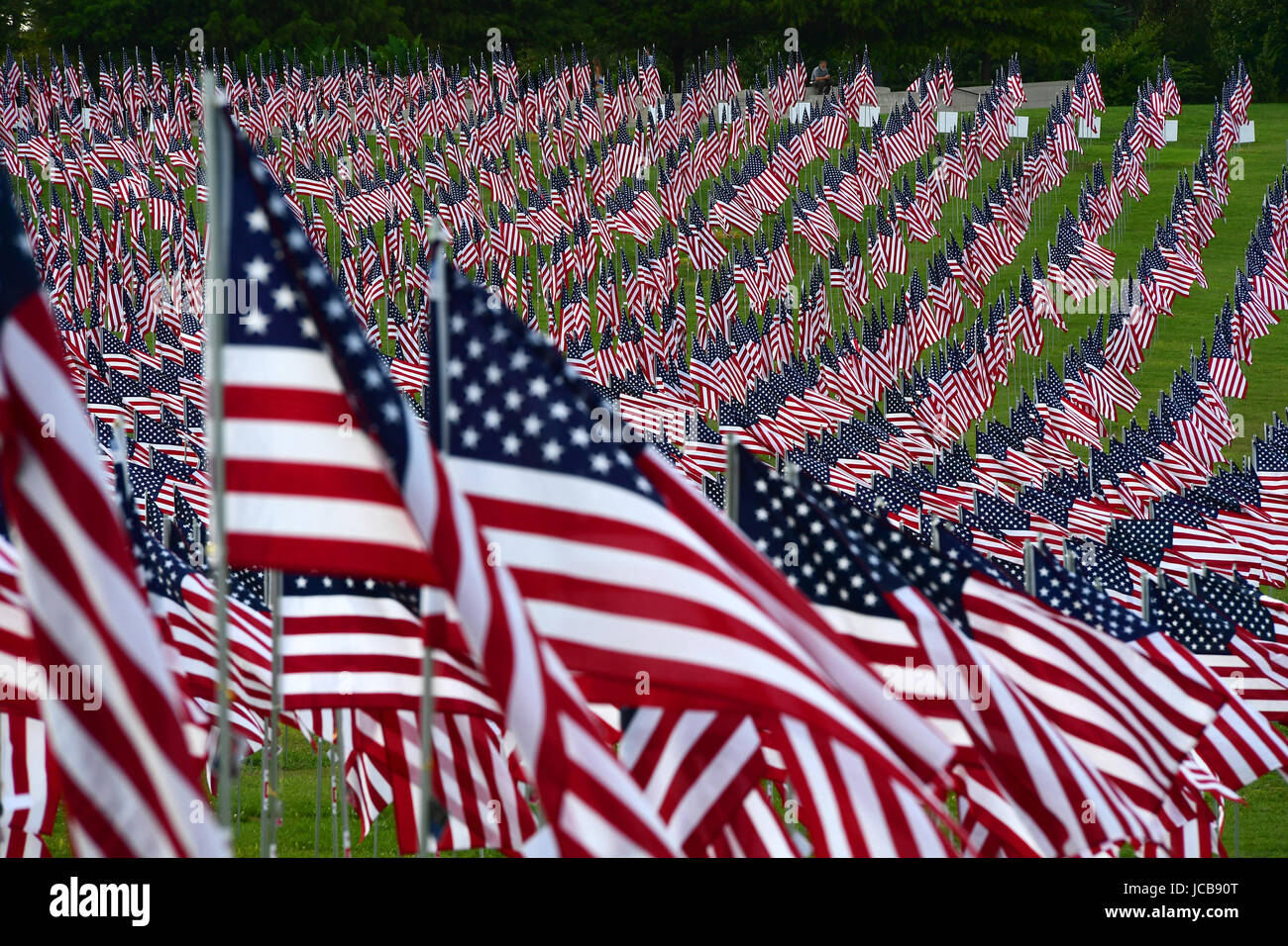 Field of American Flags Stock Photo - Alamy