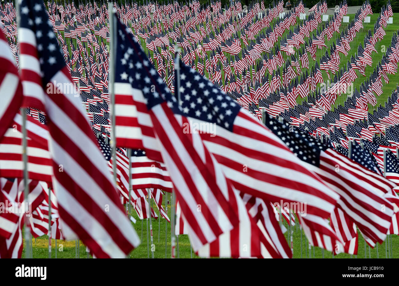 Field of American Flags Stock Photo - Alamy