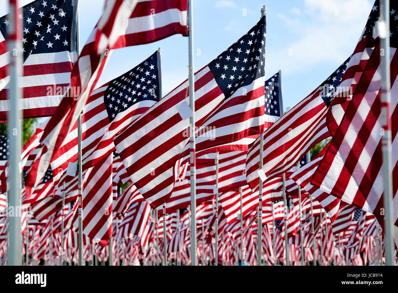 Field of American Flags Stock Photo - Alamy