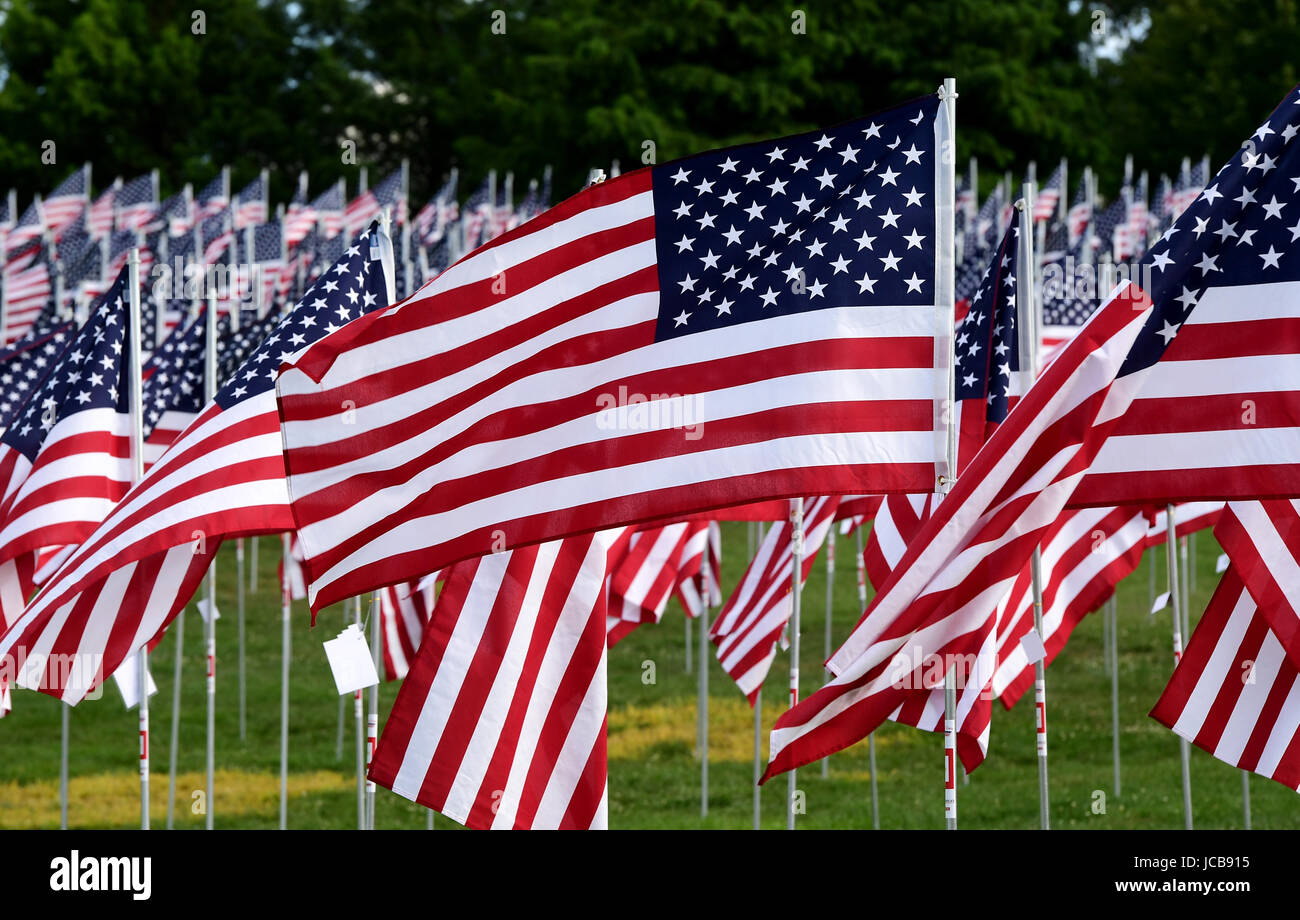 Field of American Flags Stock Photo - Alamy