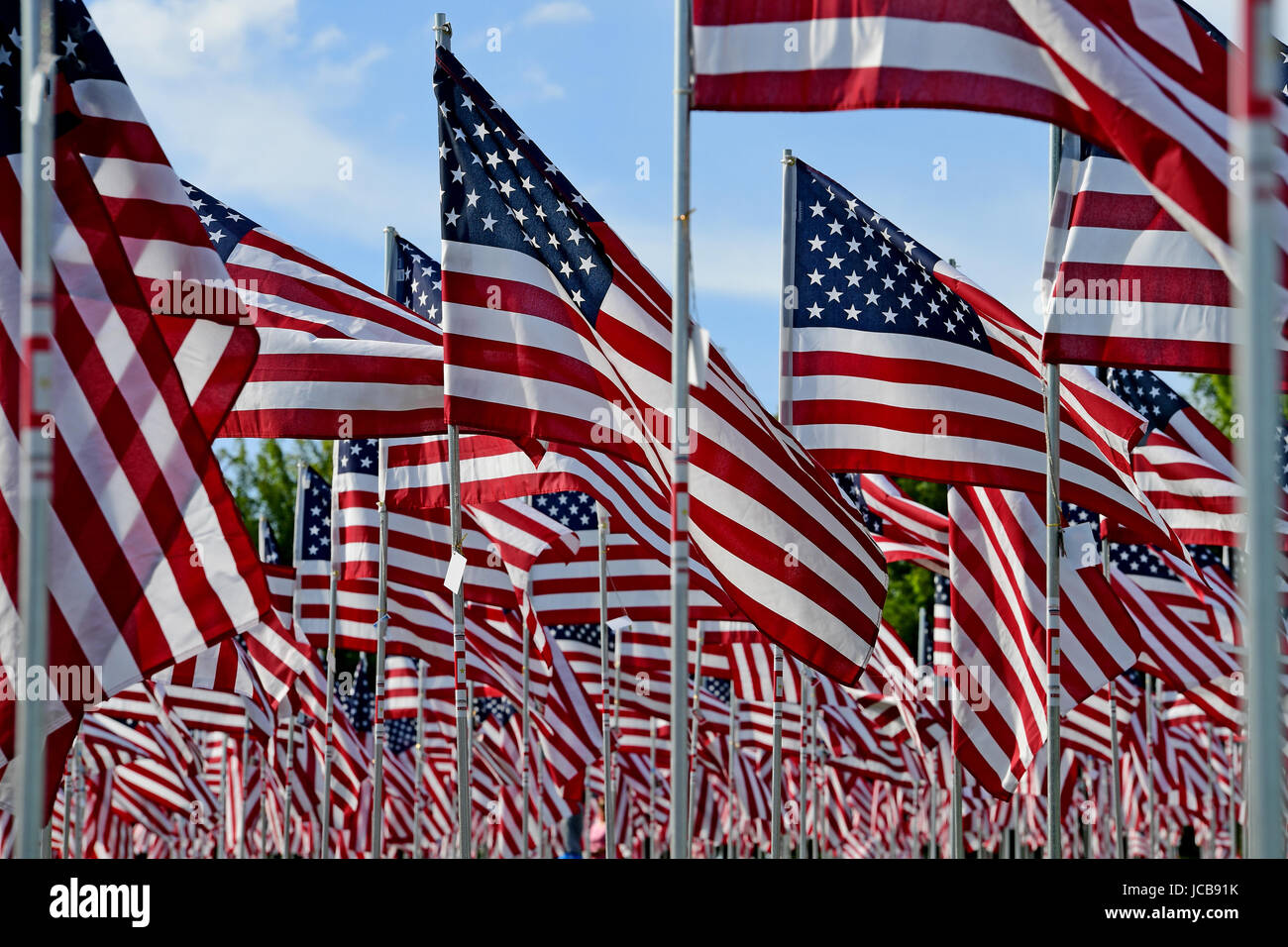 Field of American Flags Stock Photo - Alamy