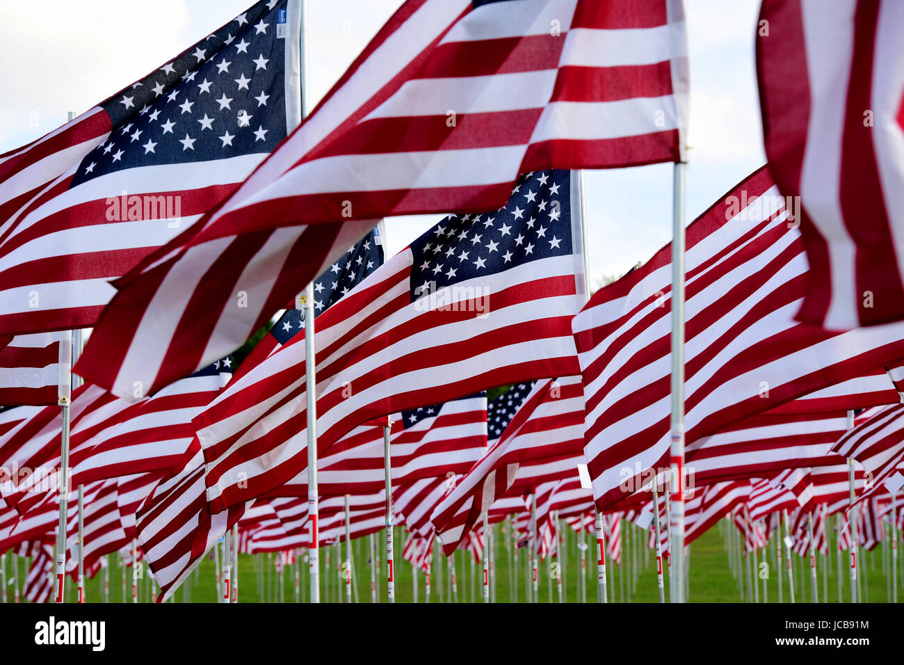 Field of American Flags Stock Photo - Alamy