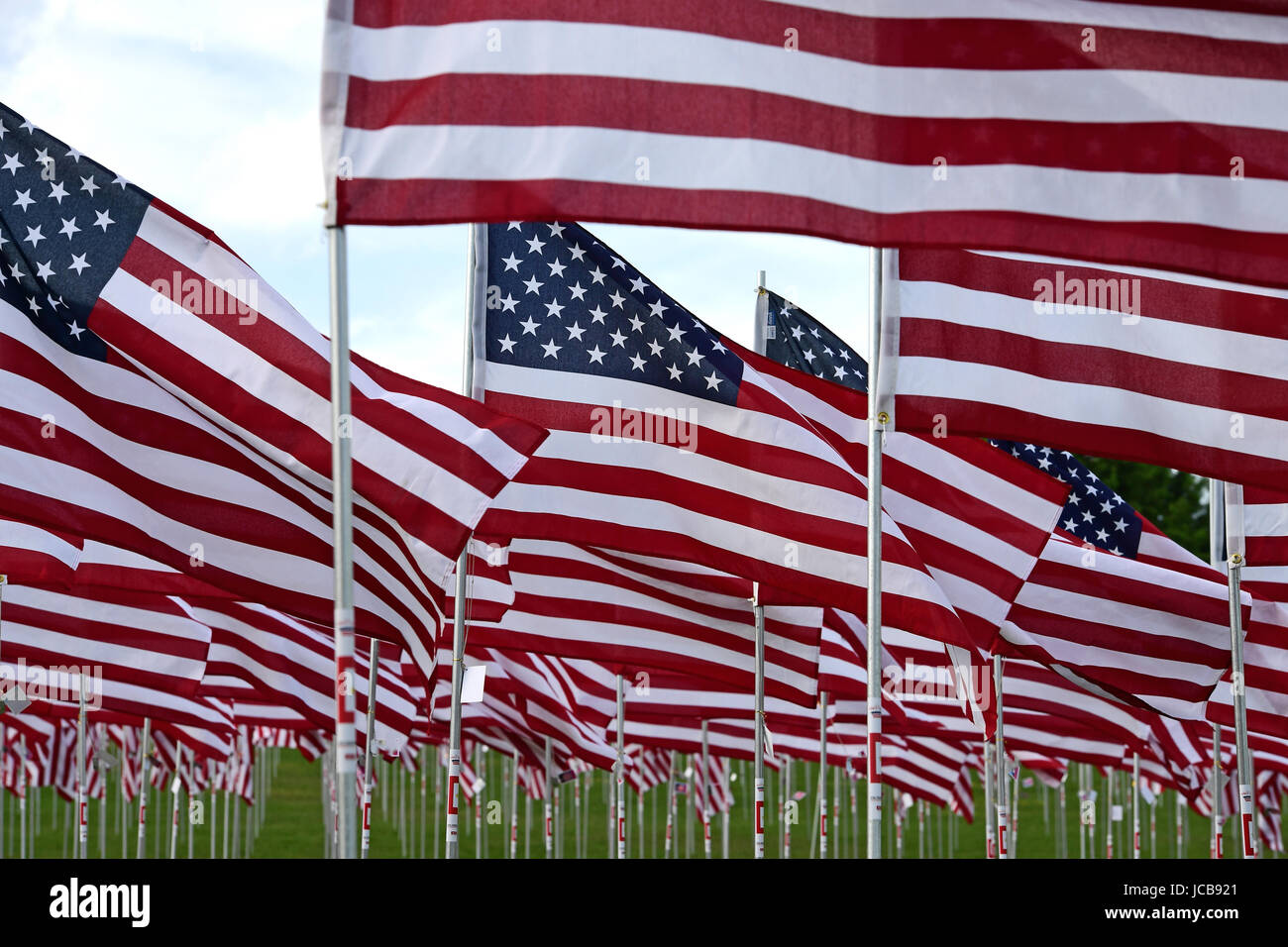 Field of american flags hi-res stock photography and images - Alamy
