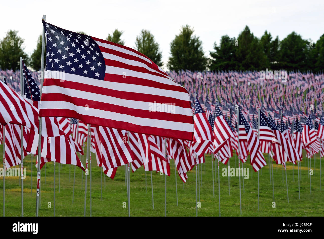 Field of American Flags Stock Photo - Alamy
