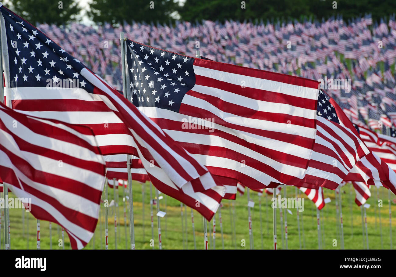Field of American Flags Stock Photo - Alamy