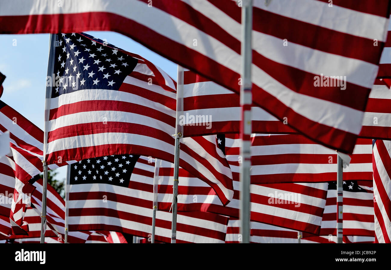Field of American Flags Stock Photo - Alamy