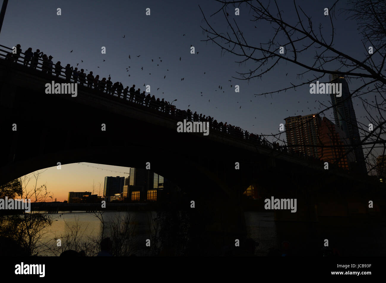 Congress street bridge bat hi-res stock photography and images - Alamy