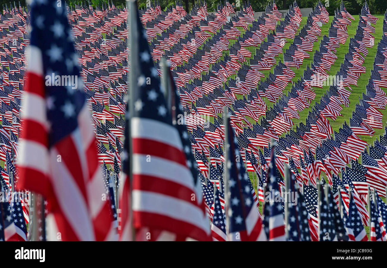 Field of American Flags Stock Photo - Alamy